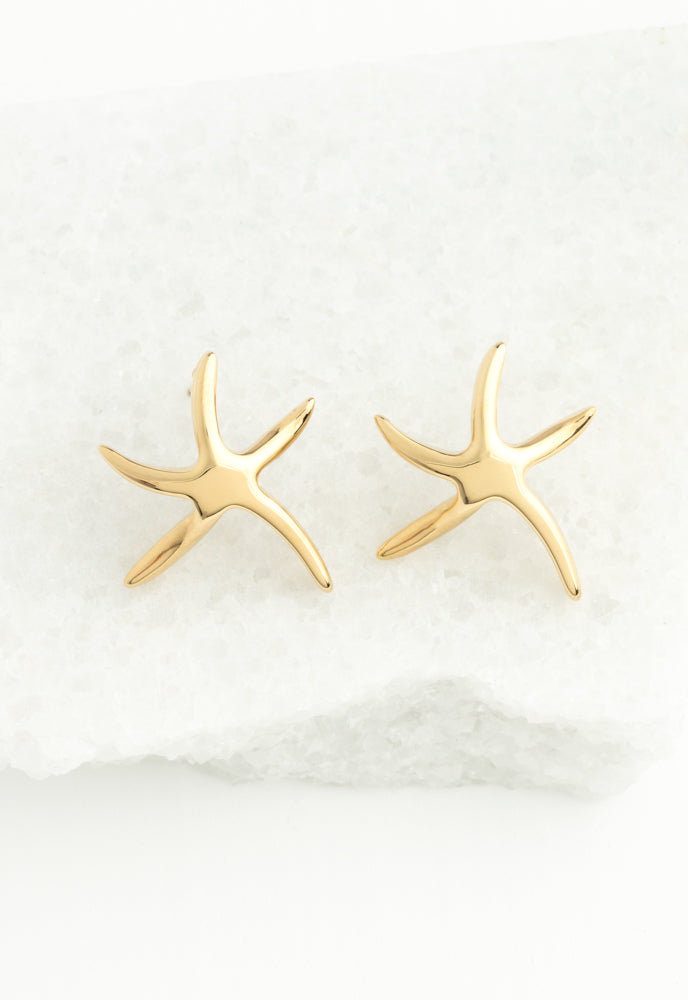 Starfish Hope Studs in Gold – Starfish Project Wholesale